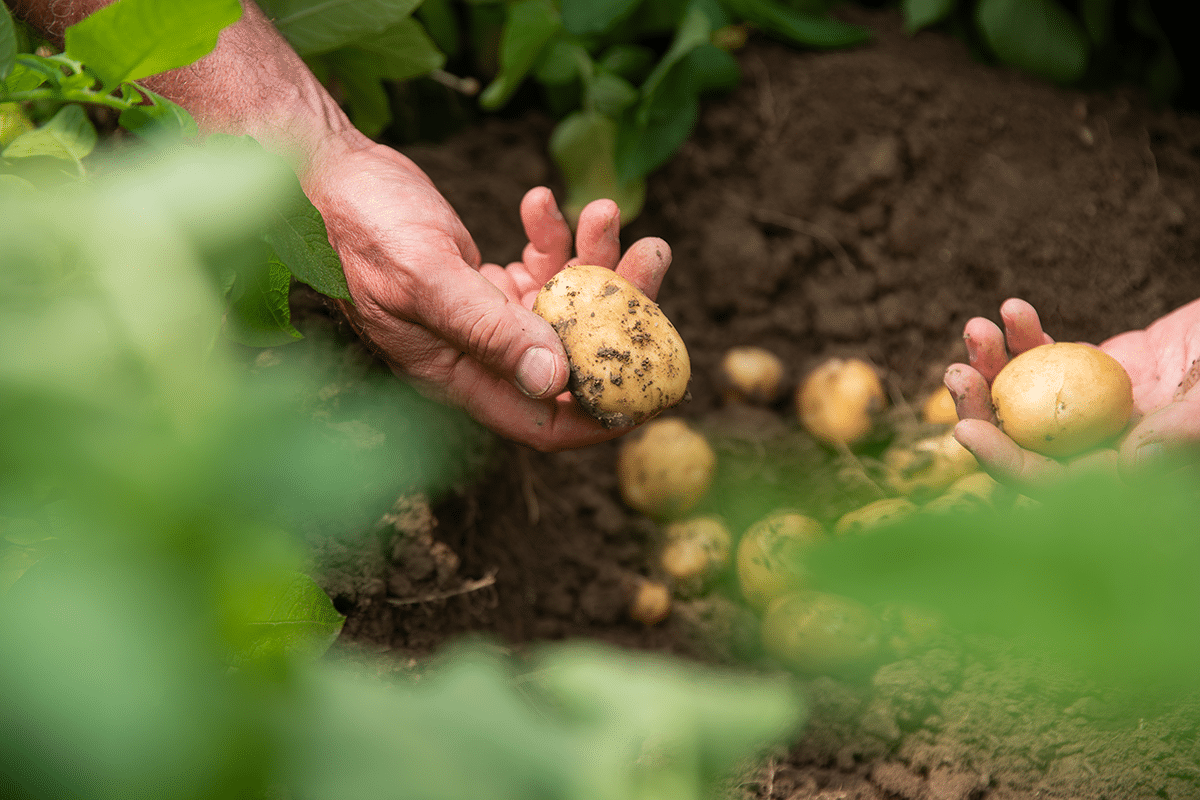 Nuovo catalogo Prodotti TIMAC AGRO Italia | TIMAC AGRO Italia